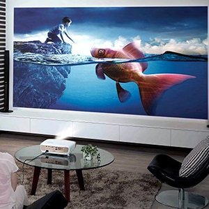 Choosing the Correct Lighting System